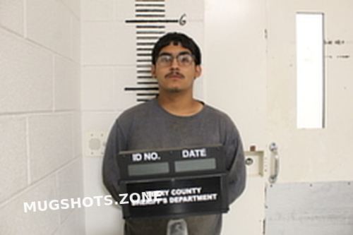 ISAAC CHAVARRIA 04/23/2025 - Terry County Mugshots Zone