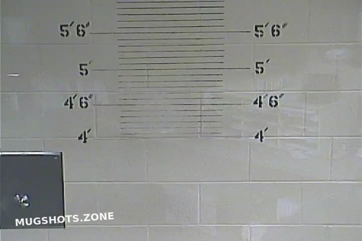 ROBERTS CONNIE LEE 01/29/2022 - Three Forks Mugshots Zone