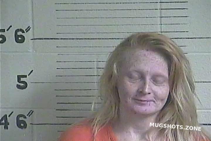 TERRY- MCCLAIN SHEENA 11/22/2023 - Three Forks Mugshots Zone