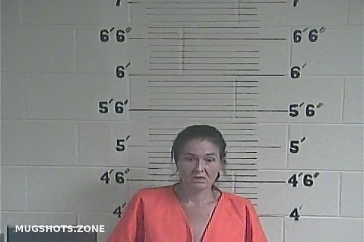 SALLIE JENNIFER L 08/16/2025 - Three Forks Mugshots Zone