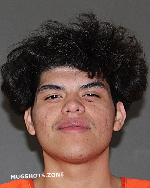 RAMIREZ ALEXANDER REYES 06/18/2024 - Titus County Mugshots Zone