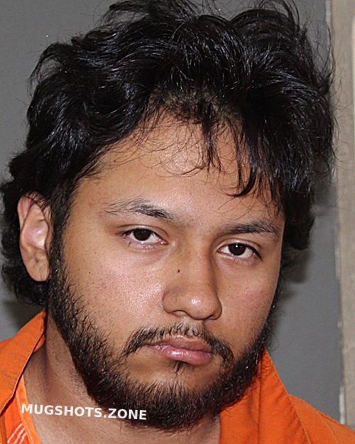 ROMAN JOSE JONATHAN 10/19/2024 - Titus County Mugshots Zone