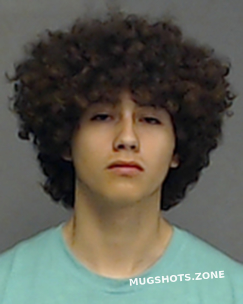 EFRAIN CASTANEDA 04/24/2021 - Tom Green County Mugshots Zone