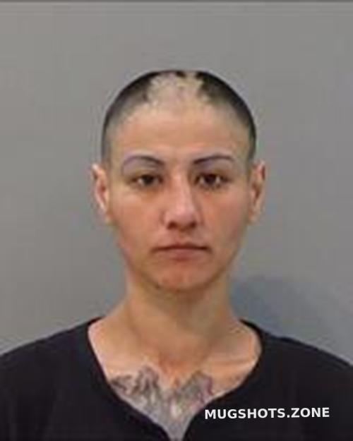 APRIL SANCHEZ 03/12/2023 - Tom Green County Mugshots Zone