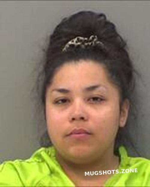 MARIA SALAZAR-FAZ 02/03/2024 - Tom Green County Mugshots Zone