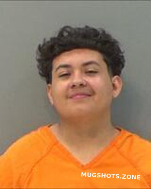 DOMINICK LOPEZ 08/10/2024 - Tom Green County Mugshots Zone