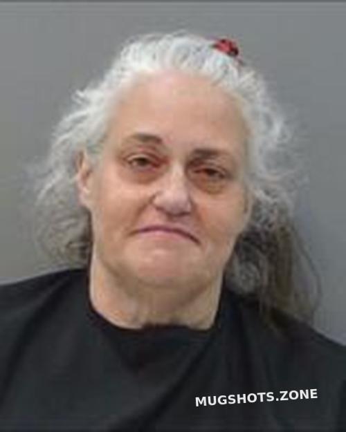 TAMI HARRISON 11/02/2024 - Tom Green County Mugshots Zone