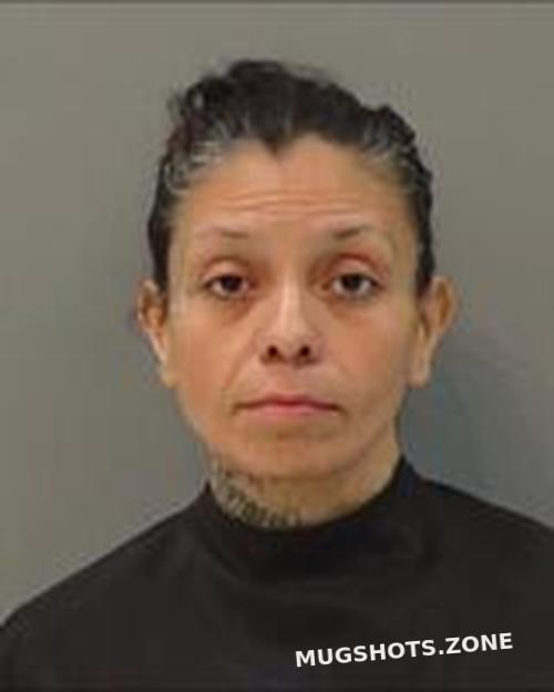 MARIA TREVINO 12/01/2024 - Tom Green County Mugshots Zone