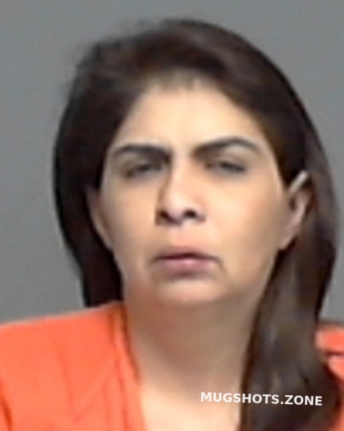 CASTILLO ANNETTE 02/15/2025 - Tom Green County Mugshots Zone