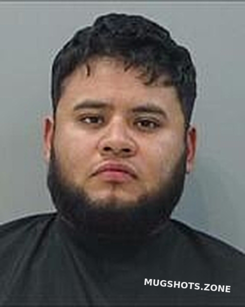 ALVAREZ-FAVELA DAVID 03/26/2025 - Tom Green County Mugshots Zone