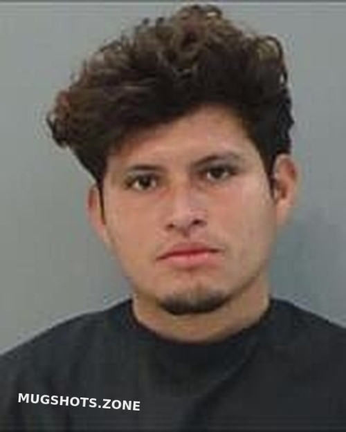 ACUNA-REYES ALDO 04/11/2025 - Tom Green County Mugshots Zone