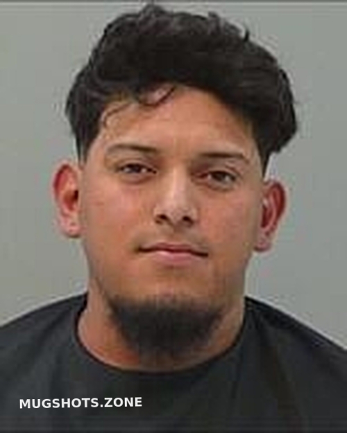 ZELEDON-PLATA STEVEN 04/20/2025 - Tom Green County Mugshots Zone