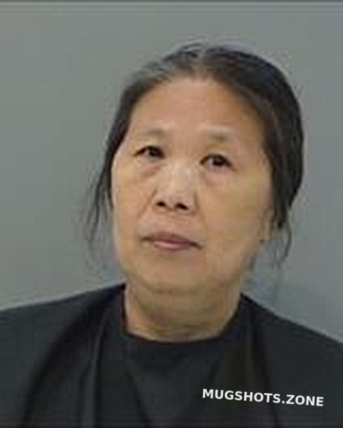 JOHNSON CHI HUI 05/17/2025 - Tom Green County Mugshots Zone