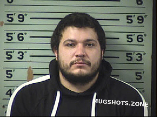 PLEIMAN DEVIN MANUEL 02/19/2021 - Transylvania County Mugshots Zone