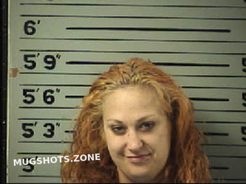 MCCAULEY LEE ANNE 05/28/2021 - Transylvania County Mugshots Zone