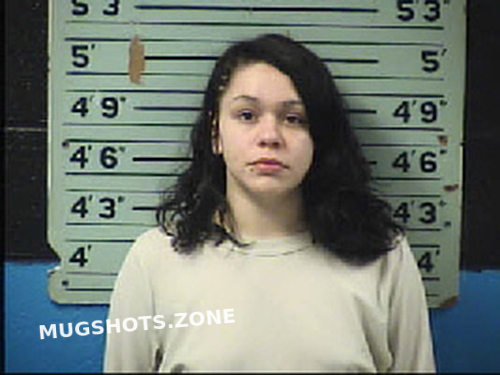 BALLENGER BAILEY SUE 07/21/2021 - Transylvania County Mugshots Zone