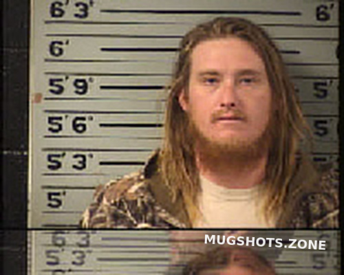HARRELSON RODNEY WORTH 04/12/2022 - Transylvania County Mugshots Zone