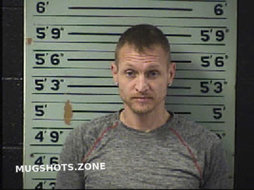 REESE JASON DAVID 06/23/2022 - Transylvania County Mugshots Zone