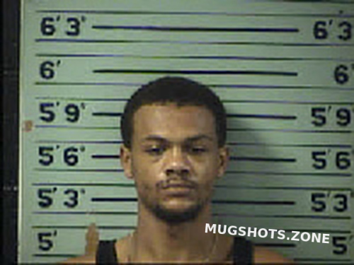 FOWLER JOHNNY XAVIER 08/28/2022 - Transylvania County Mugshots Zone