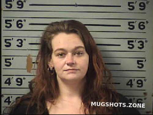 POWELL RACHEL KRISTEN 09/30/2022 - Transylvania County Mugshots Zone