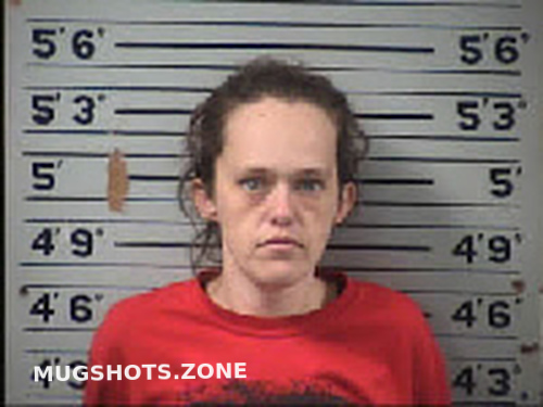 SISK AMANDA LEIGH 03/22/2023 - Transylvania County Mugshots Zone