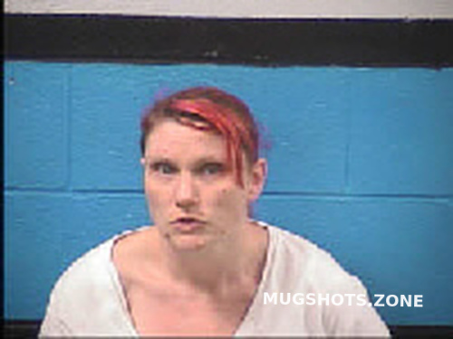 FLEMING RACHEL ROGERS 08/04/2023 - Transylvania County Mugshots Zone FLEMING RACHEL ROGERS 08/04/2023 - Transylvania County Mugshots Zone