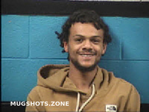 FOWLER JOHNNY XAVIER 01/19/2024 - Transylvania County Mugshots Zone