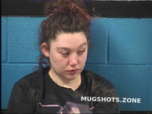 PRESSLEY JORDAN TAYLOR 02/11/2024 - Transylvania County Mugshots Zone