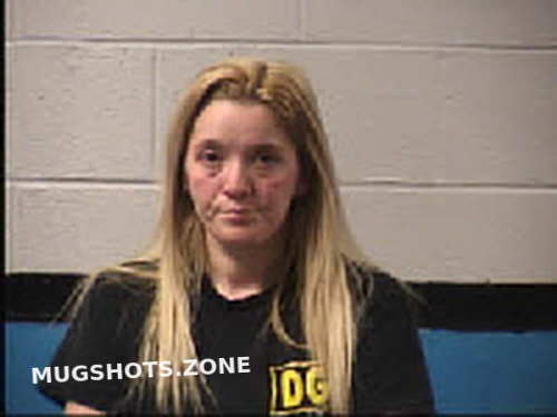 ESTRADA CANDY XOCHITL 04/25/2024 - Transylvania County Mugshots Zone