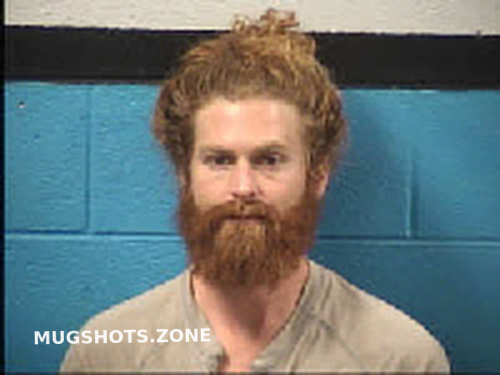 HARRIS SEAN GREGORY 07/02/2024 - Transylvania County Mugshots Zone