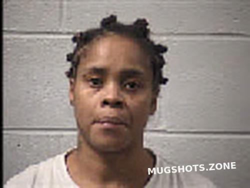 REED TASHE AKEHA 07/25/2024 - Transylvania County Mugshots Zone