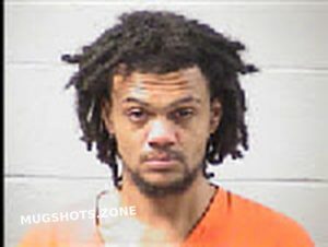 FOWLER JOHNNY XAVIER 01/06/2025 - Transylvania County Mugshots Zone