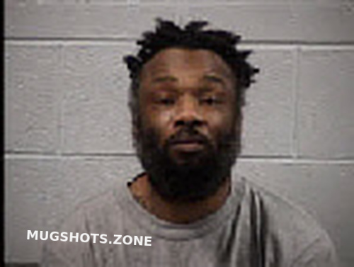 DAVIDSON JAMES KENNETH 05/05/2025 - Transylvania County Mugshots Zone
