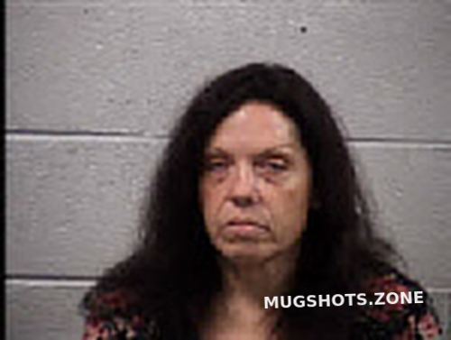 RAYNOR HEIDI MICHELLE 06/02/2025 - Transylvania County Mugshots Zone