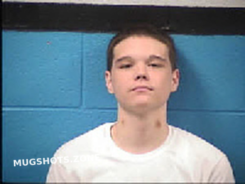 ALEXANDER GEORGE ANDREW 06/13/2025 - Transylvania County Mugshots Zone