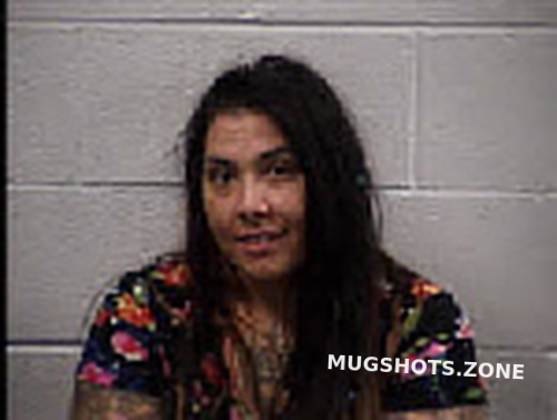 DRIGGERS BRITTANY DAWN 07/15/2025 - Transylvania County Mugshots Zone