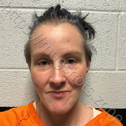 WARD TASHANA STAR 03/24/2026 - Transylvania County Mugshots Zone