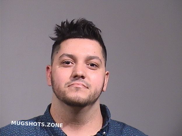 NELSON DUSTIN JAMES 02/17/2025 - Trumbull County Mugshots Zone