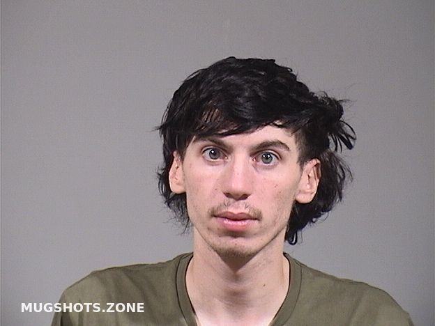 ANDERSON DOMINIC MICHAEL 10/03/2025 - Trumbull County Mugshots Zone