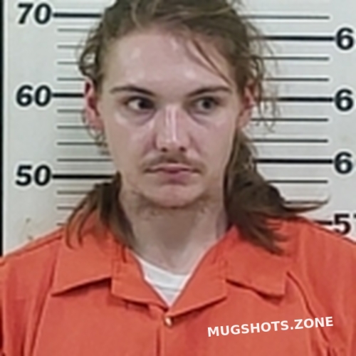 SETH BENJAMIN JOHNSON 07/25/2024 - Tunica County Mugshots Zone