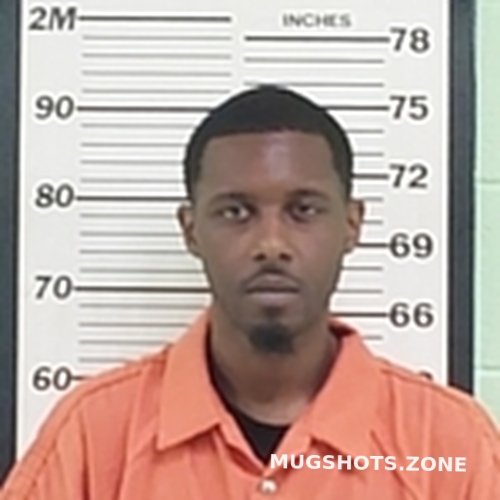 TEVIN TERRELL LOVE 11/13/2024 - Tunica County Mugshots Zone