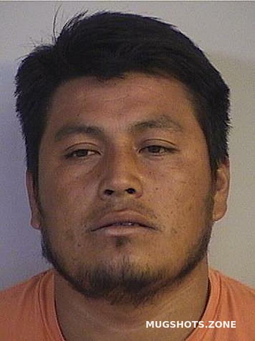 RAMIREZ 03/07/2023 - Tuscaloosa County Mugshots Zone