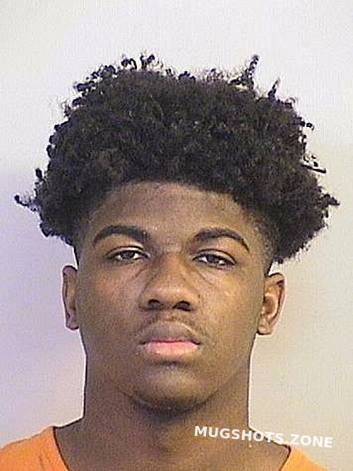 POWELL 04/13/2023 - Tuscaloosa County Mugshots Zone