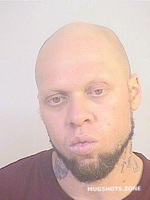 RAY 02/04/2024 - Tuscaloosa County Mugshots Zone