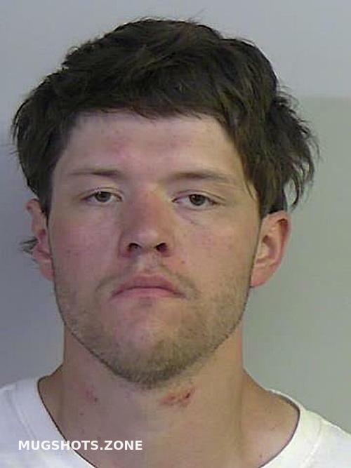 MORGAN 02/24/2024 - Tuscaloosa County Mugshots Zone