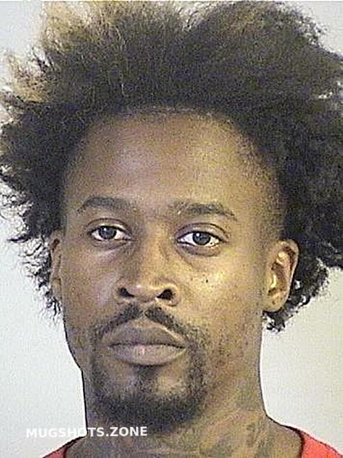 MASON 08/13/2024 - Tuscaloosa County Mugshots Zone