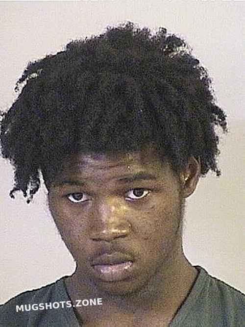 REED 08/26/2024 - Tuscaloosa County Mugshots Zone