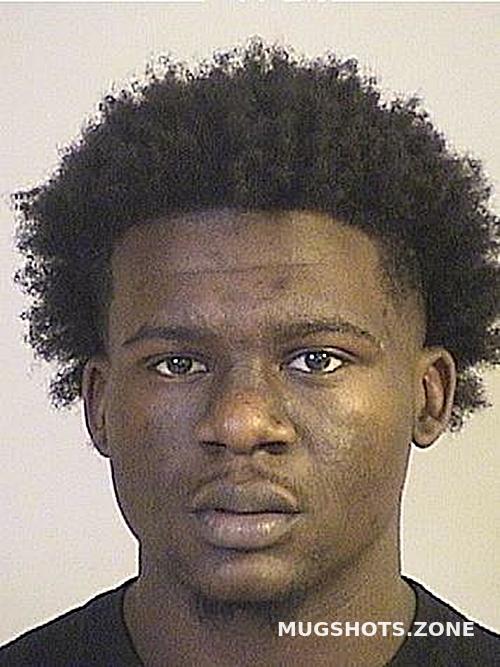 WILLIAMS 09/09/2024 - Tuscaloosa County Mugshots Zone