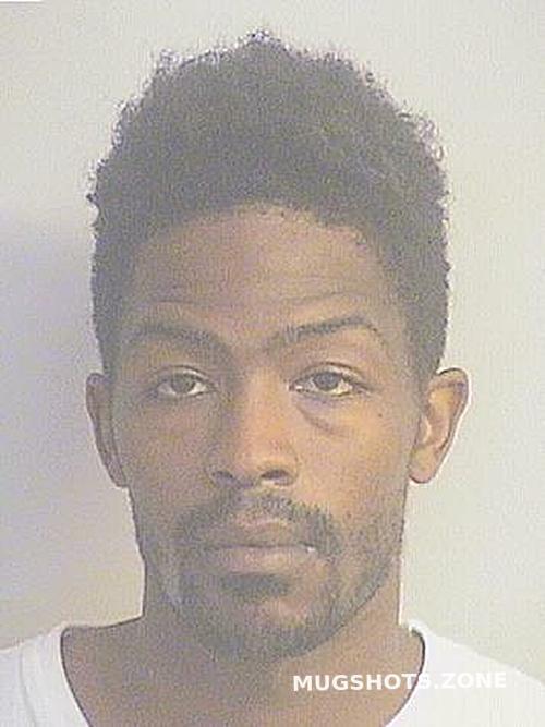 LOWE 09/10/2024 - Tuscaloosa County Mugshots Zone