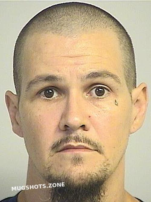 PROCTOR 09/15/2024 - Tuscaloosa County Mugshots Zone